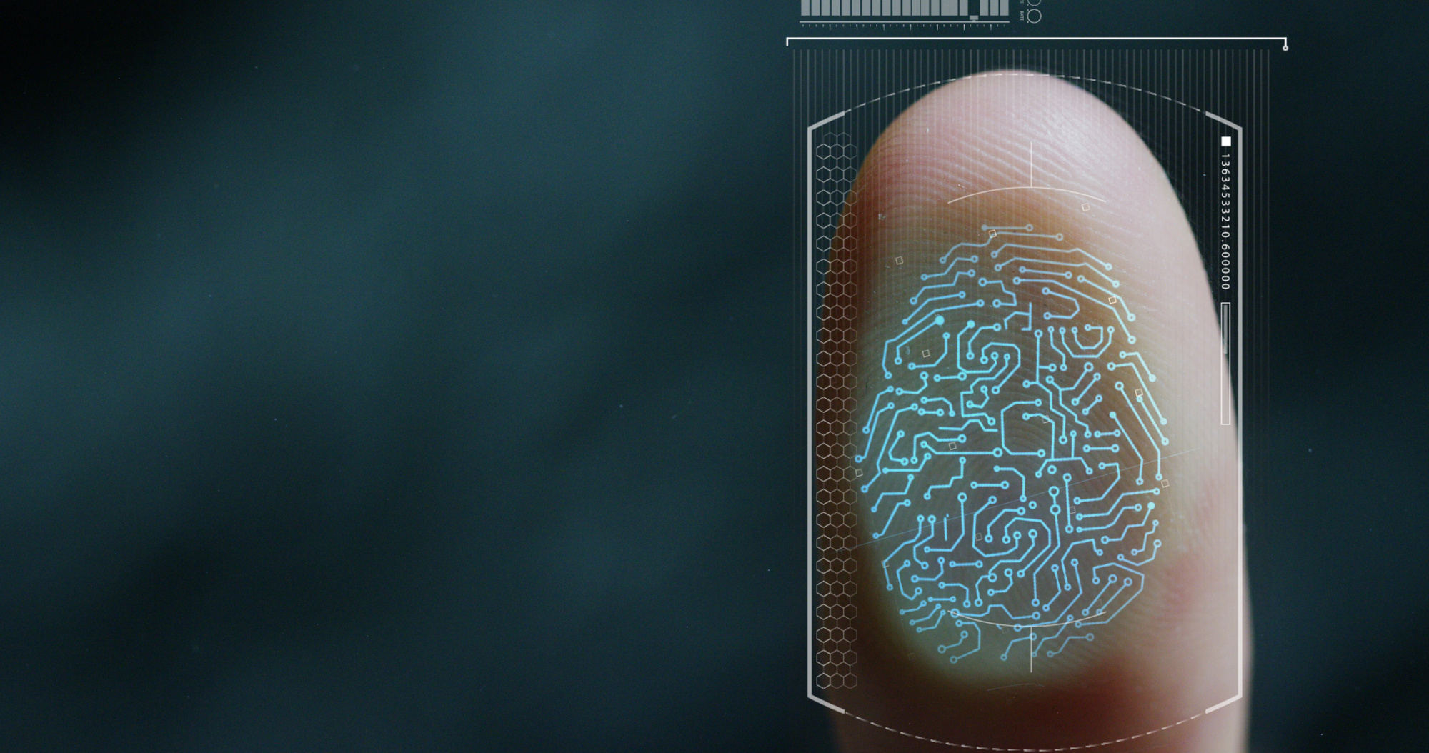 Biometric Solutions